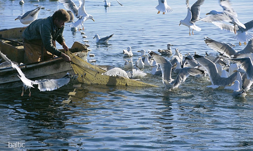 Kolka - the warmest warmth, the windiest wind and the greenest sea ...