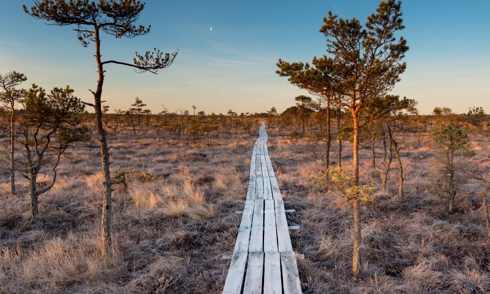 Into nature – ideas for an exciting vacation in the Baltics - airBaltic ...