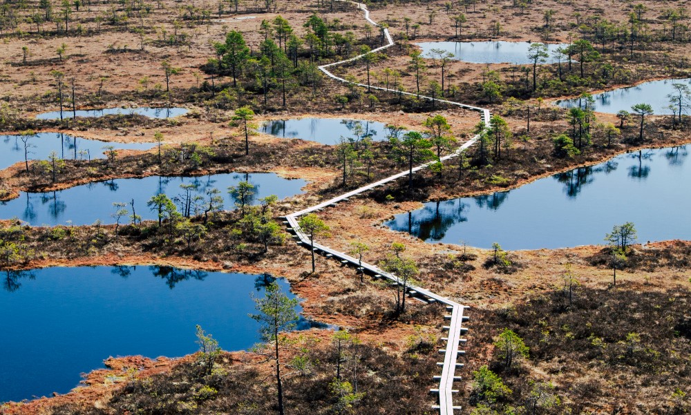 Into nature – ideas for an exciting vacation in the Baltics - airBaltic ...