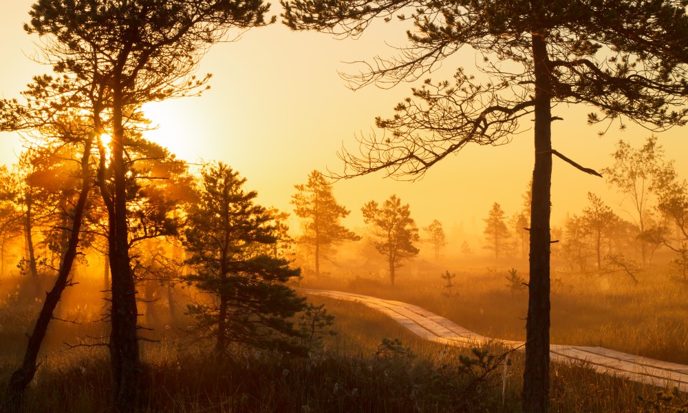 Into nature – ideas for an exciting vacation in the Baltics - airBaltic ...