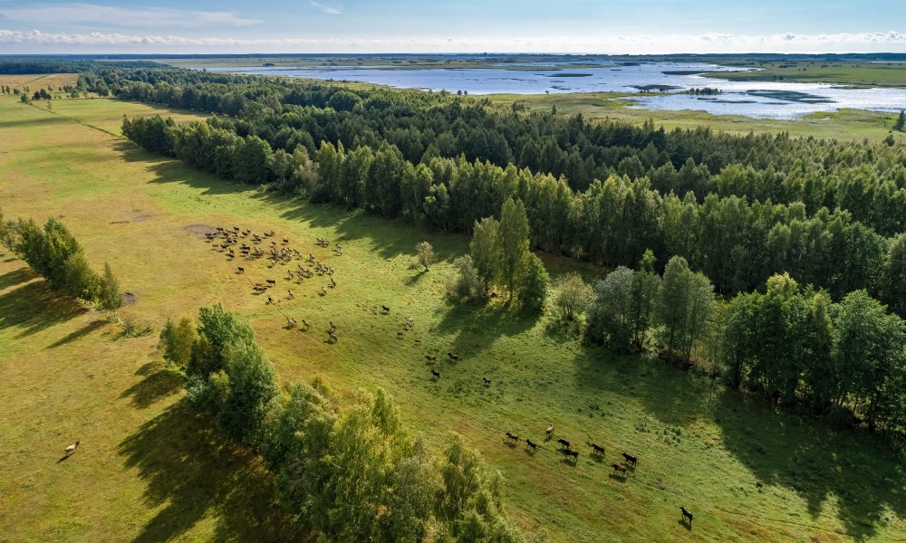 Into nature – ideas for an exciting vacation in the Baltics - airBaltic ...