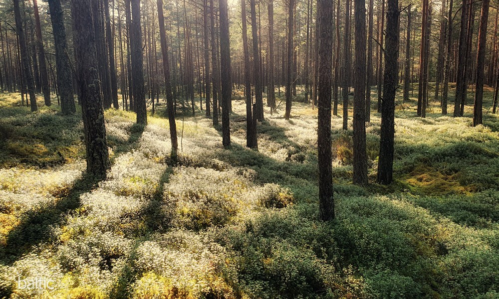 Into nature: awe-inspiring nature parks in Europe - airBaltic blog