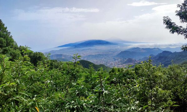 Tenerife: the island that has it all - airBaltic blog