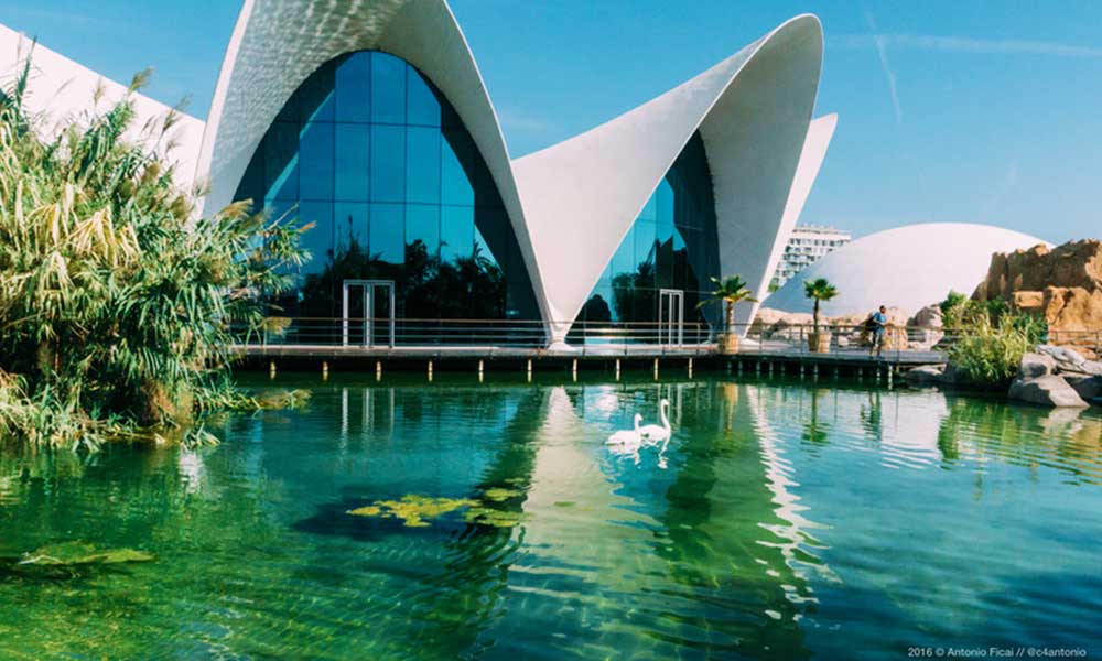10 reasons why you should visit Valencia - airBaltic blog