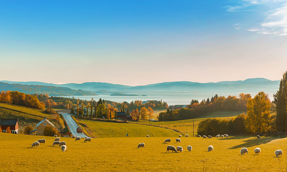 How to make the most of your trip to Trondheim - airBaltic blog