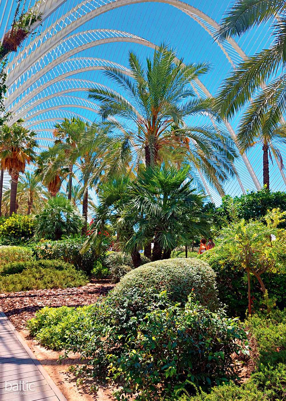 Valencia: the city of joy - airBaltic blog