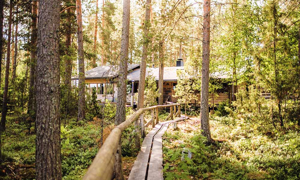 Relaxing sauna holidays in Tampere - airBaltic blog