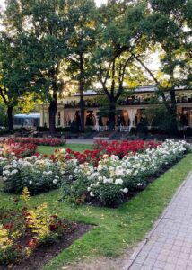 Taste of Riga: the best restaurants, street food, and wine bars ...