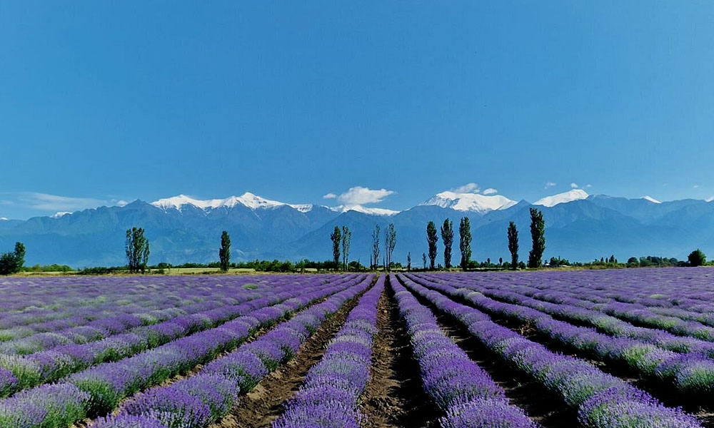 The 10 best music festivals in the Balkans and Caucasus - airBaltic blog