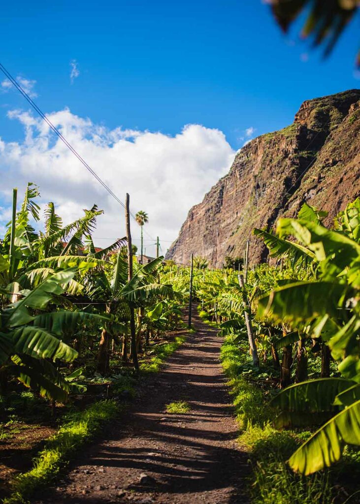 Discover Madeira: 10 reasons to visit paradise - airBaltic blog