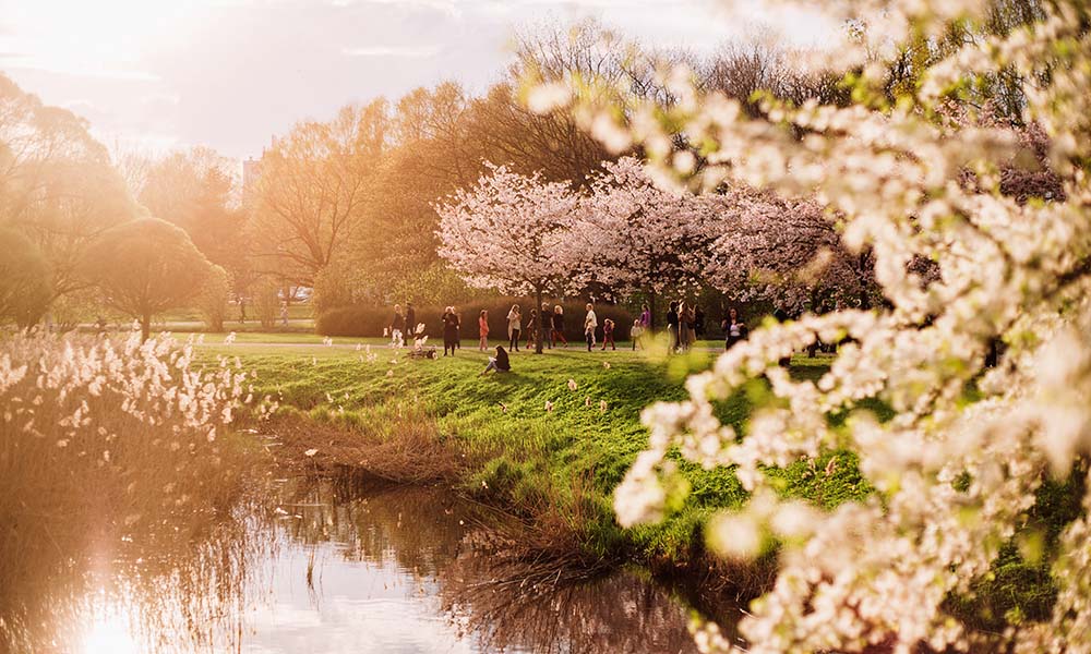 Explore the Baltics: top things to do in Riga, Tallinn, and Vilnius ...